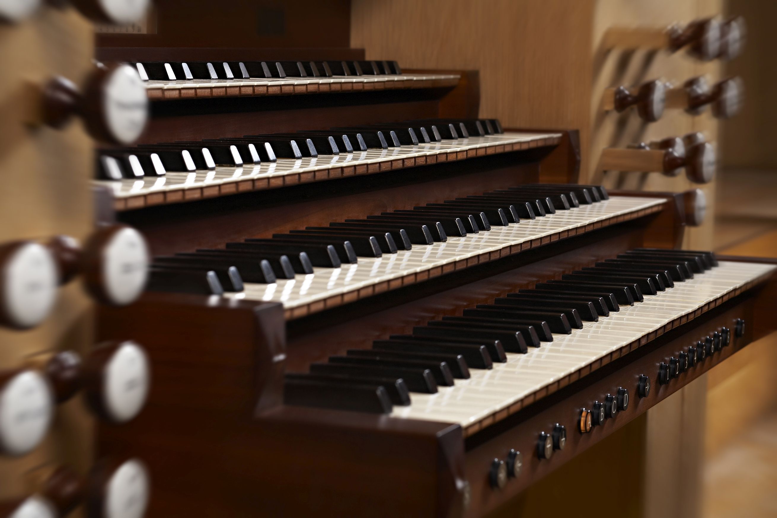 ORGANpromotion - Home