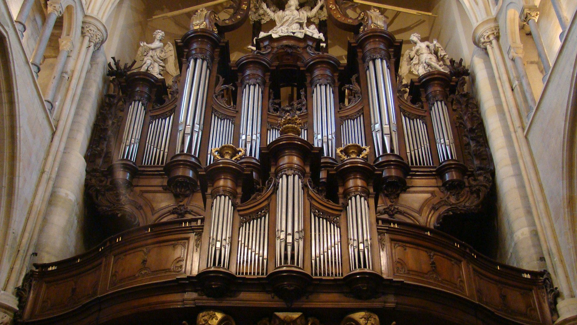 ORGANpromotion - Home